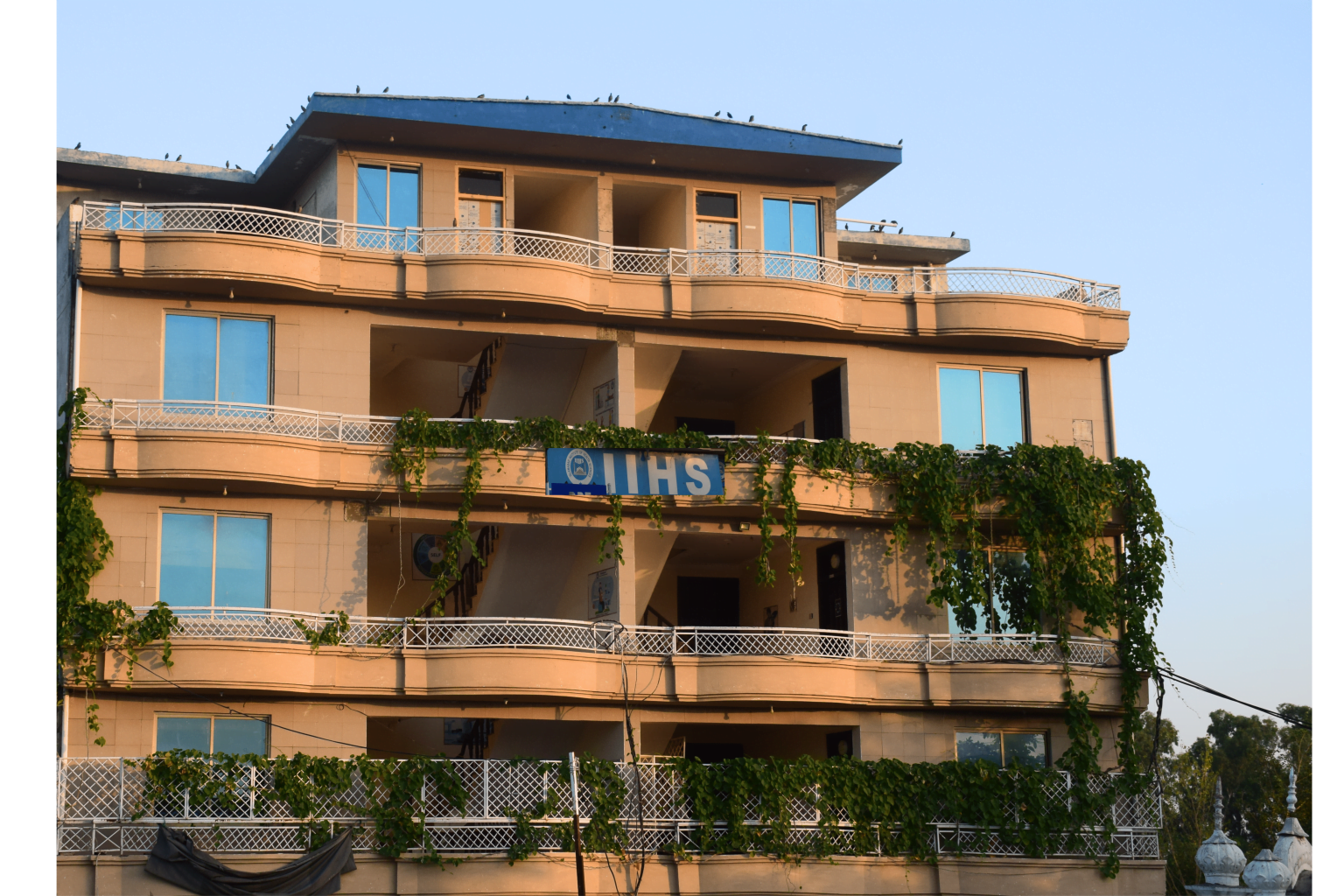 IIHS – Islamabad Institute of Health Sciences